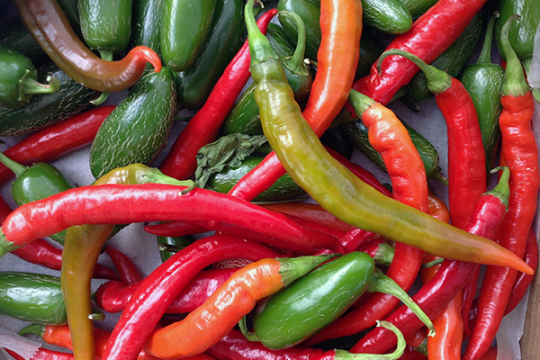 Veggie Profiles