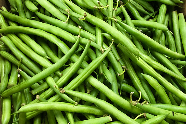 Veggie Profiles