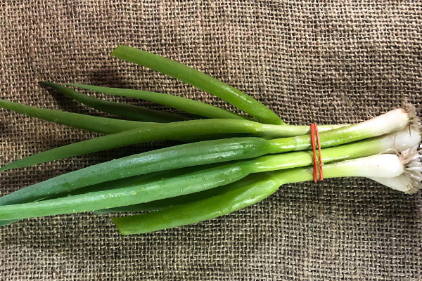 Veggie Profiles