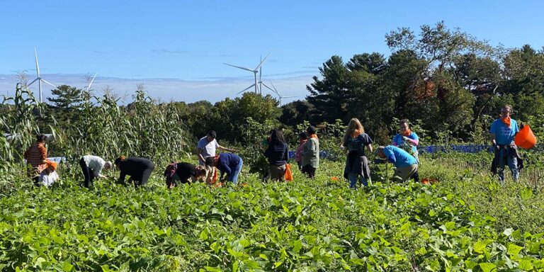 Volunteering FAQ